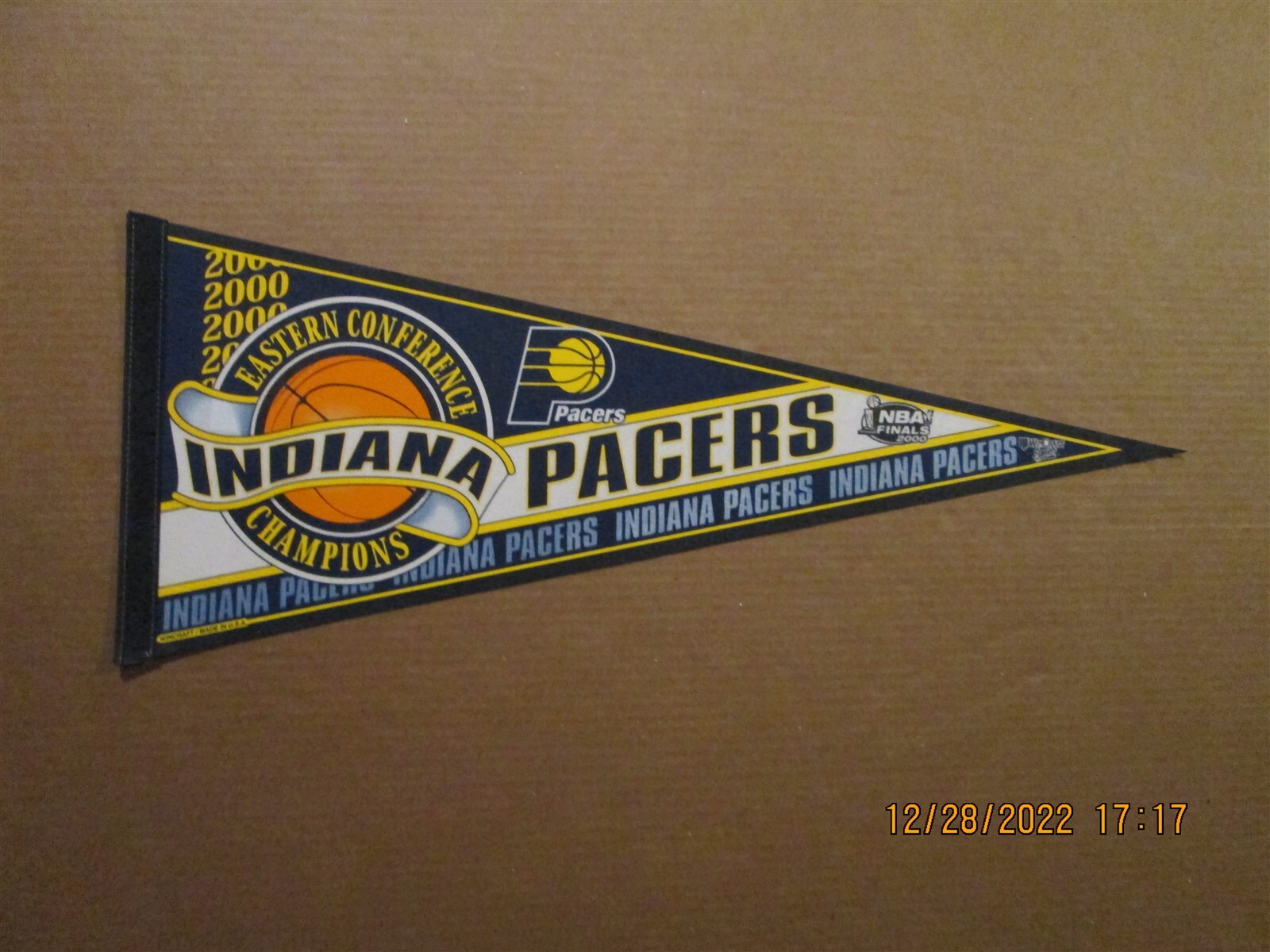 Pacers Logo 2022