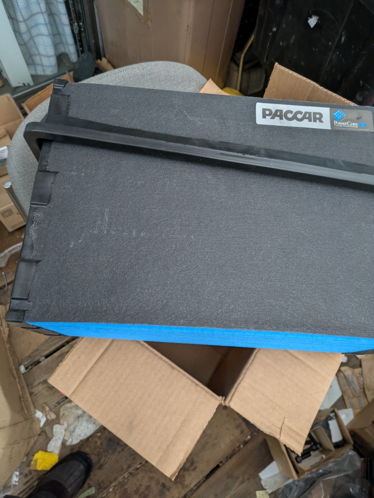 Genuine OEM Paccar P640017 Air Filter Extended Life for sale online | eBay