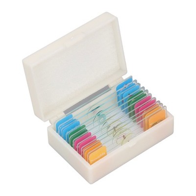 10x Microscope Slides With Specimens Animal Plant Bug Glass Slides ...