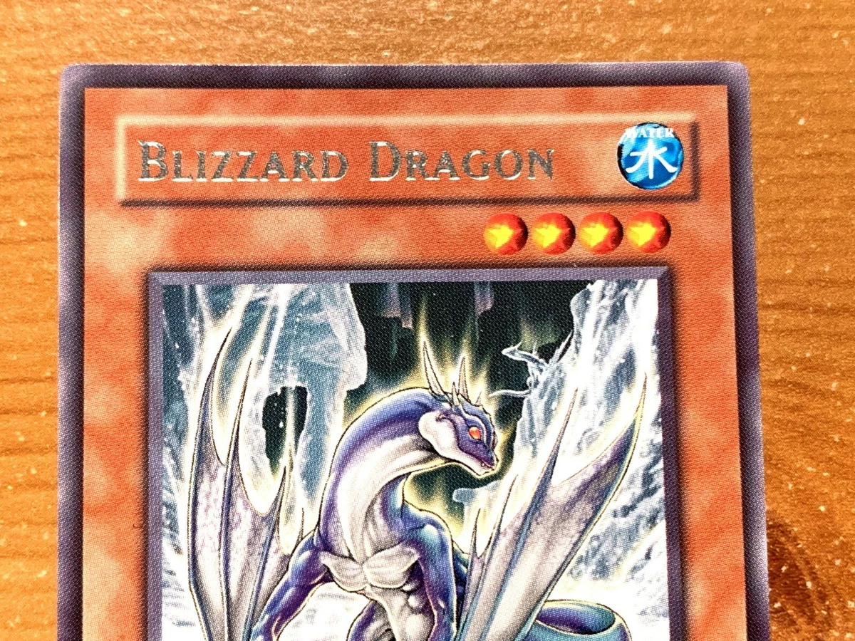 Blizzard Dragon