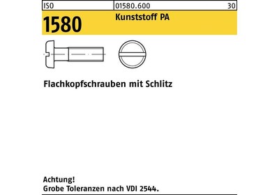 Reyher Flachkopfschraube ISO 1580 m.Schlitz M 6 x 10 Polyamid | eBay.de