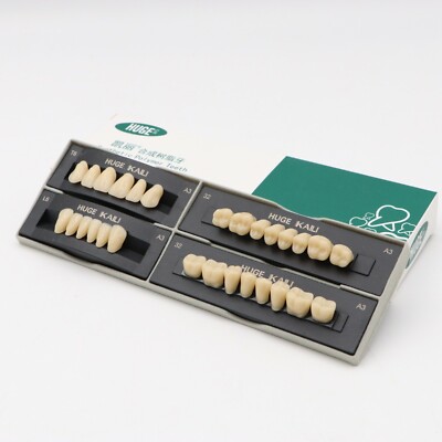 Porcelain - Denture Teeth