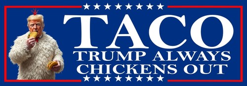 Let’s Go Taco Trump Taco Trump Always Chickens Out Bumper Sticker or ...