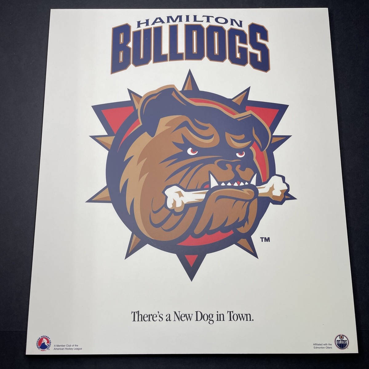 Hamilton Bulldogs Logo Hamilton Bulldogs Logo Royalty Free Stock