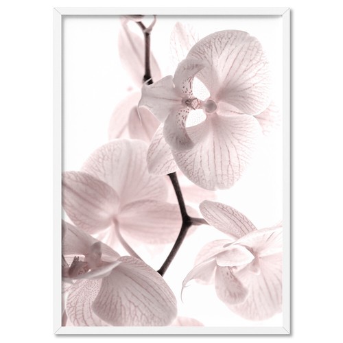 Pink Orchid Art Print. Pastel Flower Poster. Spring Blossom Poster ...