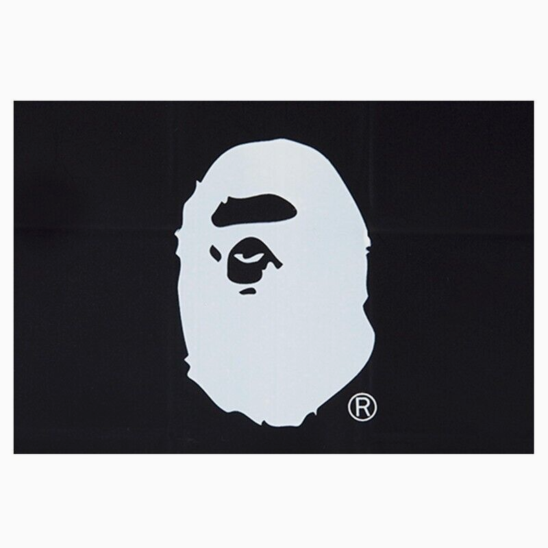 A Bathing Ape Storage Box Container Black Japan Appendix Japanese ...