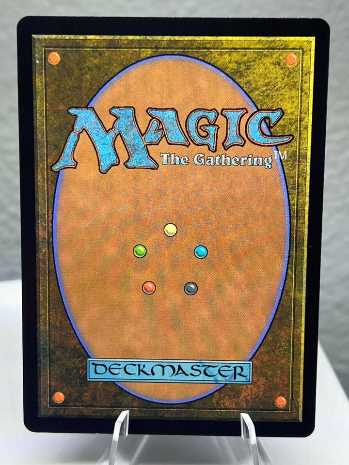 MTG Plains (269) Innistrad: Midnight Hunt 269/277 Regular Land | eBay