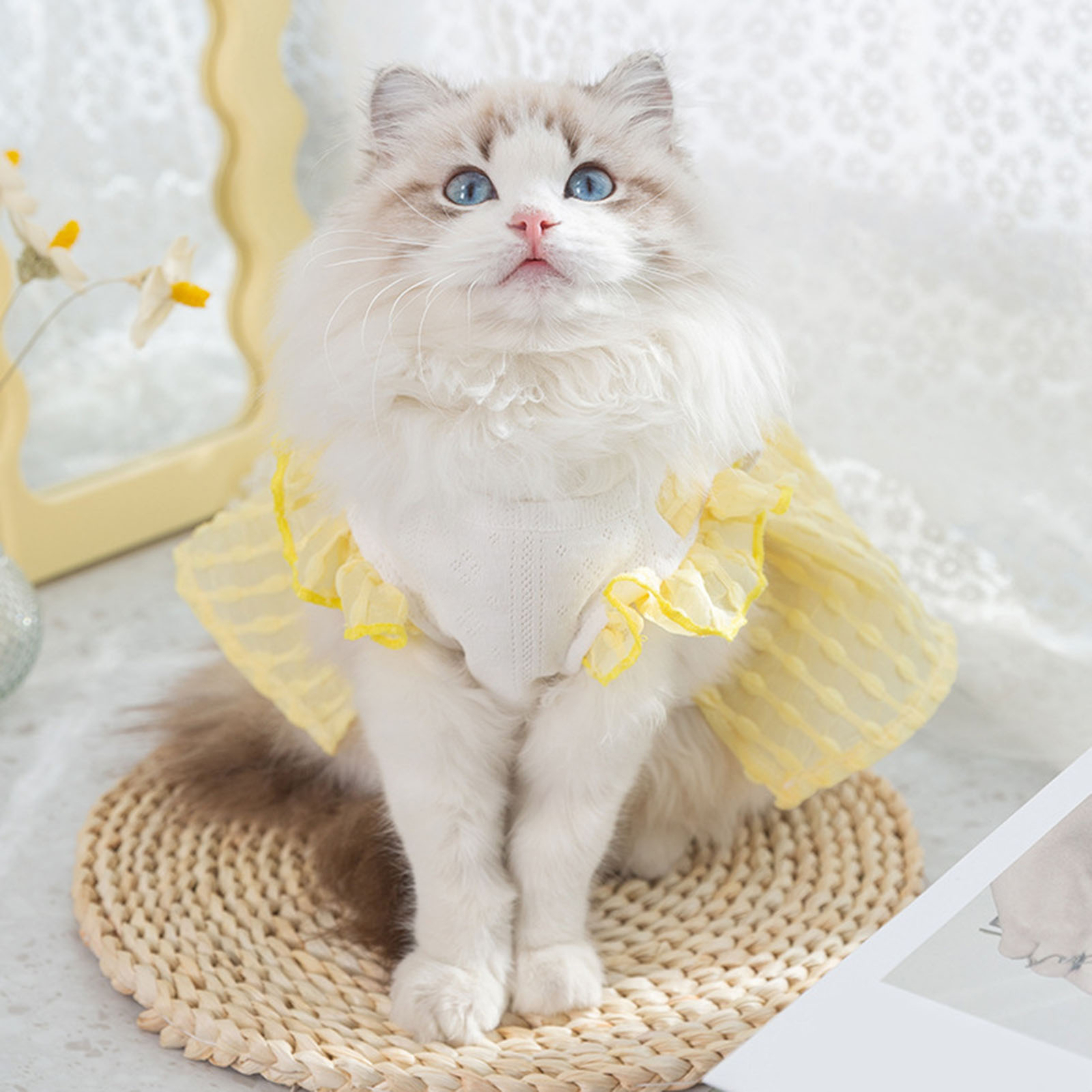 Cat Princess Dress Eye-catching Decorative Pe Cat Dog Two-legged ...