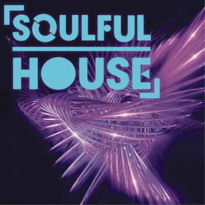 Various Artists Soulful House (CD) Album (US IMPORT) | eBay.de
