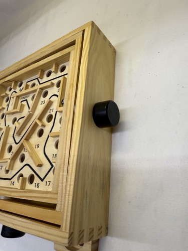 Project Genius Labyrinth The Ultimate IQ Challenge Game | eBay