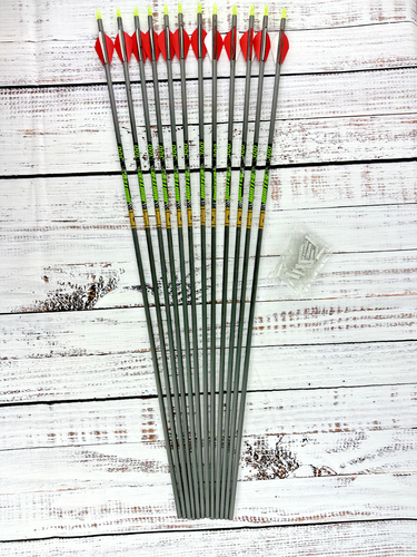 Gold Tip HUNTER XT 300 Carbon bow hunting Arrows 2" rapt-x vanes | eBay