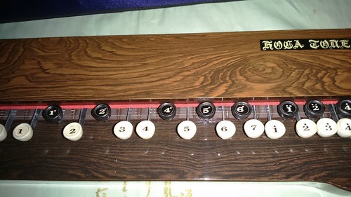 Rare Beautiful KOGA TONE Acoustic Taisho Koto (Taishogoto) with Soft ...