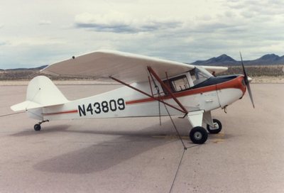 Taylorcraft Model B USA Light Airplane Desktop Wood Model Big New | eBay