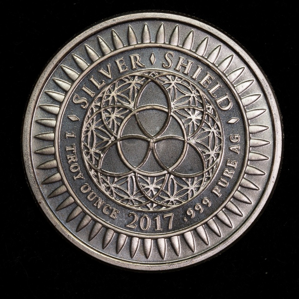 2017 Silver Shield Vote Prison 2016 Silver Round Item#P17187-89 | eBay