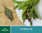 Epazote Seeds, Heirloom Mexican Tea Herb, Culinary and Medicinal, USA ...