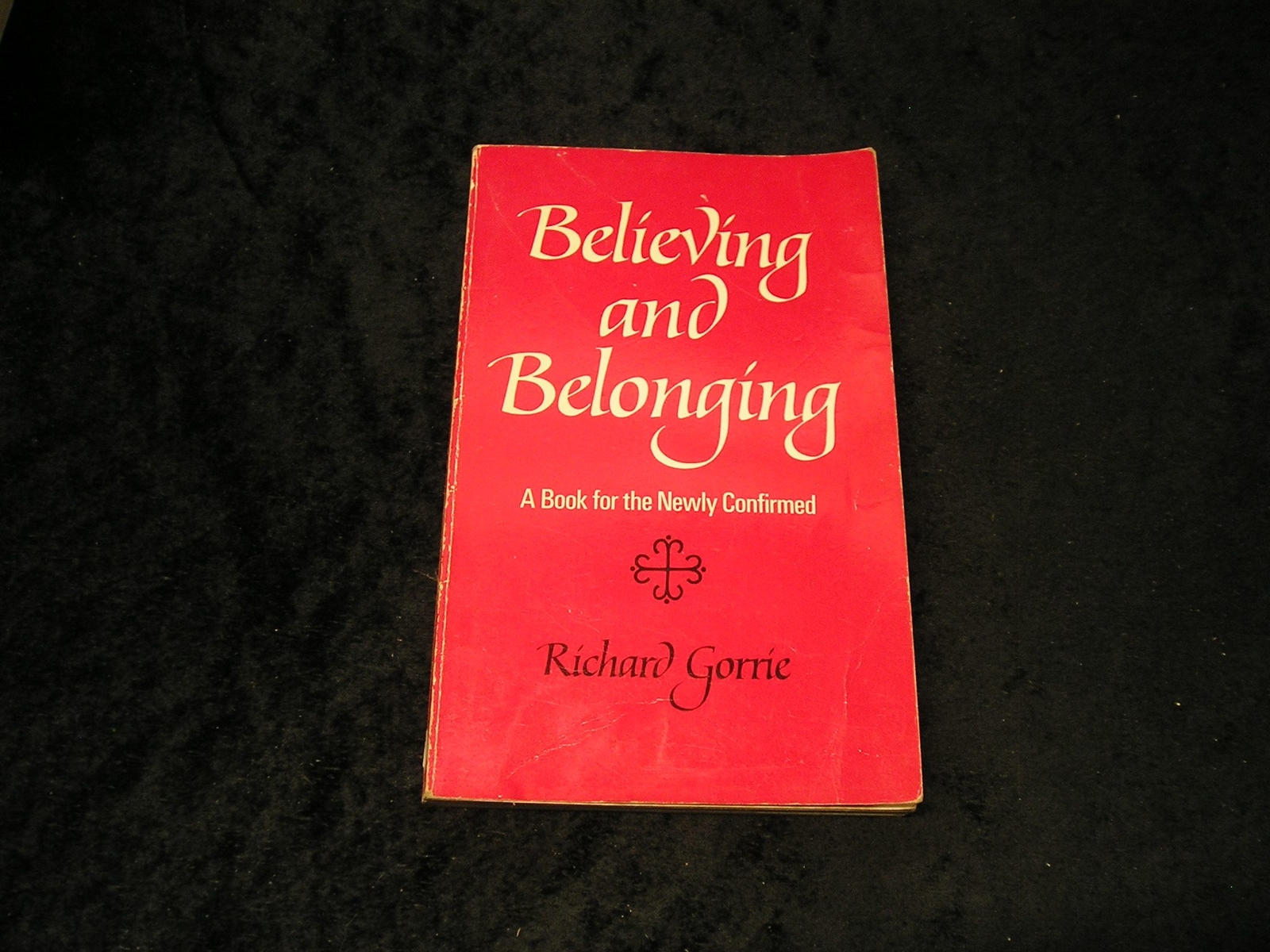 Believing and Belonging by Richard Gorrie | eBay UK