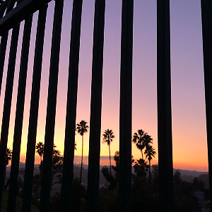 Found Los Angeles | eBay Stores