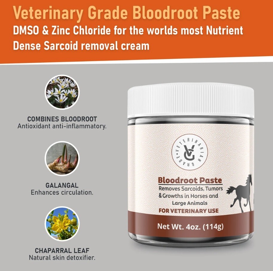 Bloodroot Paste for Sarcoid Removal in Horses and Equine Farm Animals ...