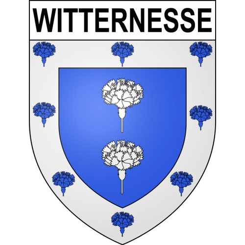 Witternesse 62 ville sticker blason écusson autocollant adhésif | eBay
