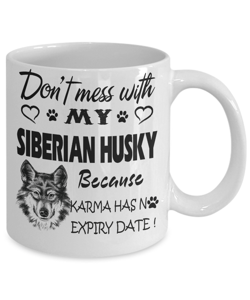 Siberian Husky dog,Chukcha,Chuksha,Cup,Sable Siberian Husky,Huskies ...