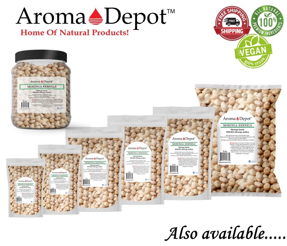 Moringa Seeds 1 oz. Wingless Semillas de Moringa Pepa oleifera Approx ...