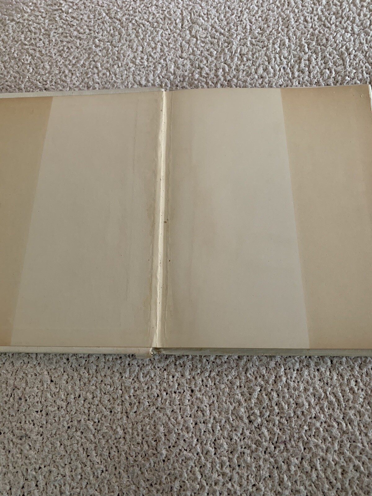 1892 Rare Poem, Shandon Bells, Fr. Prout, Illustrated by Joseph Lauber ...