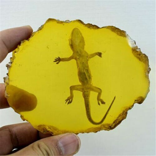 Beautiful Amber Gecko Fossil Insects Manual Polishing Decorative Pieces ...