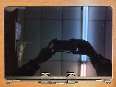 MACBOOK PRO A1707 RETINA 2016 2017 15" LCD SCREEN DISPLAY 661-08030 661 ...