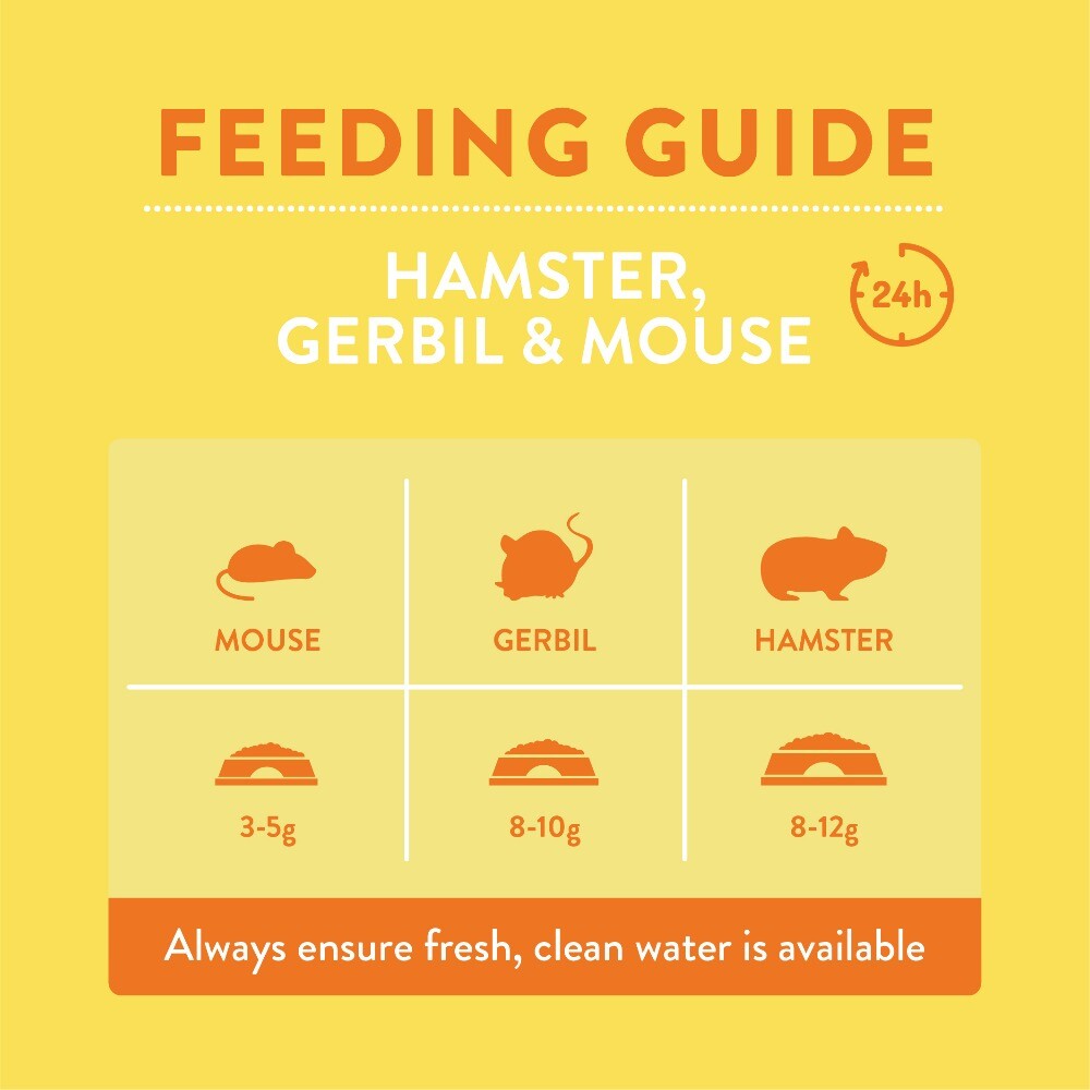 Burgess Hamster Gerbil Mouse Food Small Animal Nuggets 750g | eBay UK