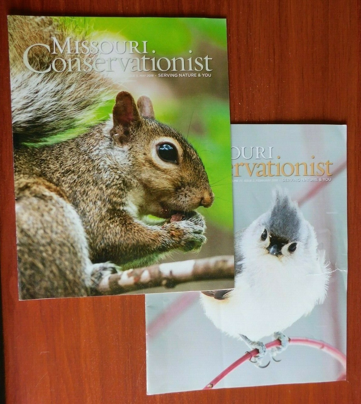 Missouri Conservationist Magazine - Feb & May 2016 - nature wildlife ...