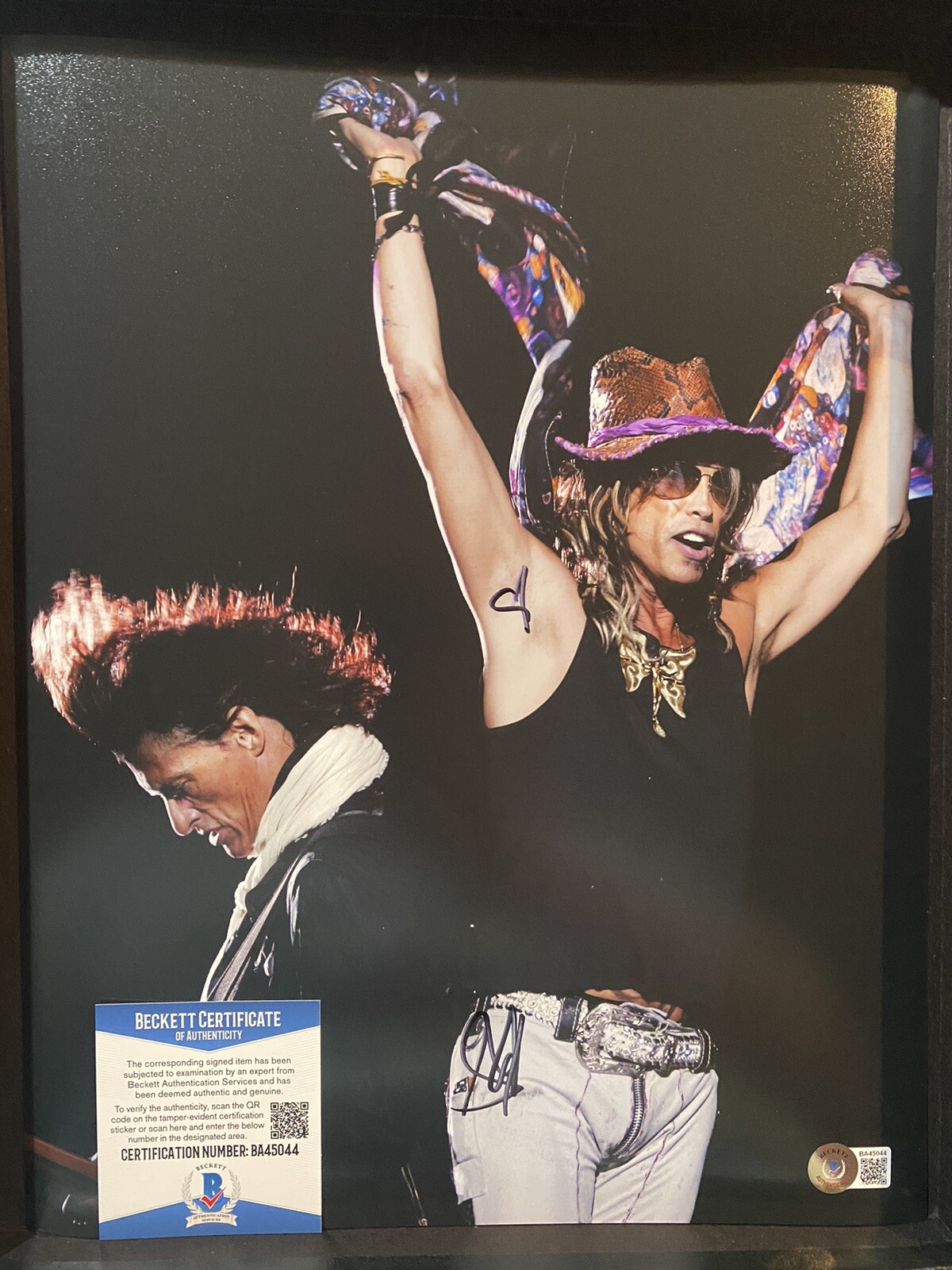 Steven Tyler Autographed Memorabilia | Signed Photo, Jersey ...