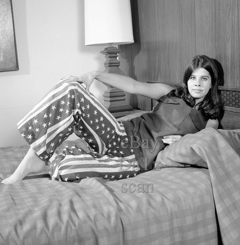 1960s Negative-busty brunette pinup girl Lynde Redden-cheesecake t59057 ...