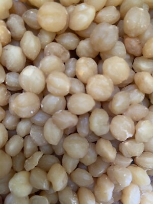 Graines AKPI - Ricinodendron Djansang Njansang, Musodo, Erimado ...