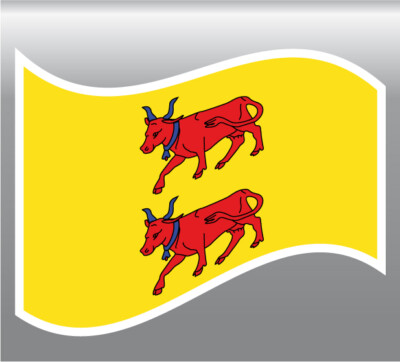 2 x sticker drapeau région BEARN 8X10cm vinyle autocollant | eBay