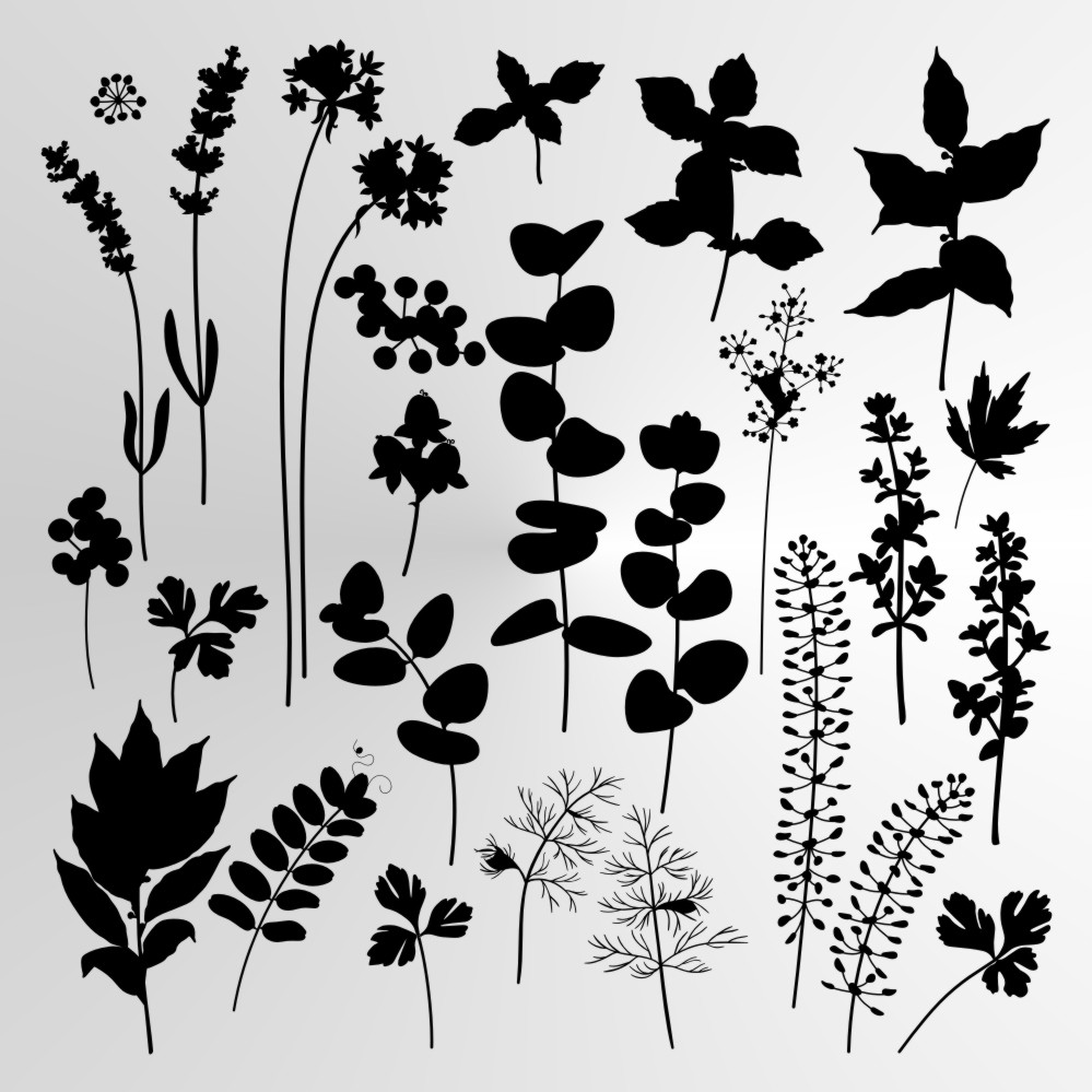 Nature Stencils Siloette