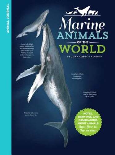Animal Journal: Marine Animals of the World: Notes, Drawings, and ...