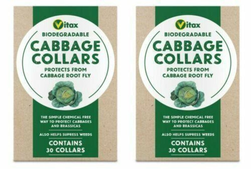 VITAX CABBAGE COLLARS ROOT FLY REPELS DETERS SLUGS SNAILS PREVENTS ...
