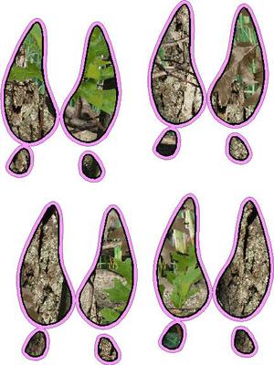 Pink Camo Deer Prints Vinyl Sticker Decal Hunting hoof whitetail buck ...