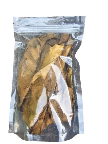 EWE AKOKO/NEWBOULDIA LAEVIS TREE 22G | eBay