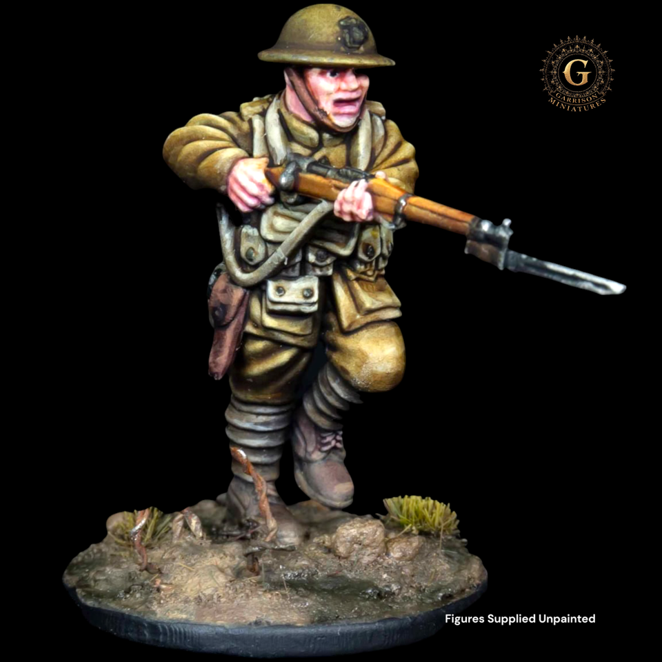 WW1 USMC American Expeditionary Force Rifle Section Belleau Wood 1918 ...