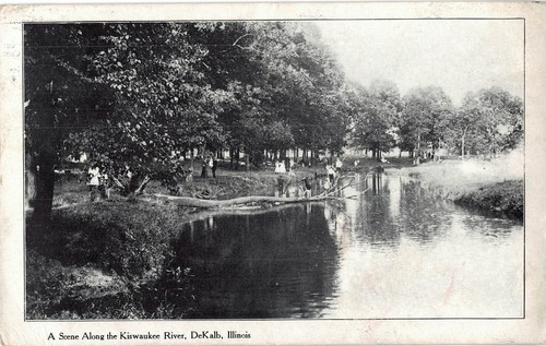 OLD POSTCARD A SCENE ALONG THE KISWAUKEE RIVER DEKALB ILLINOIS 1911 | eBay