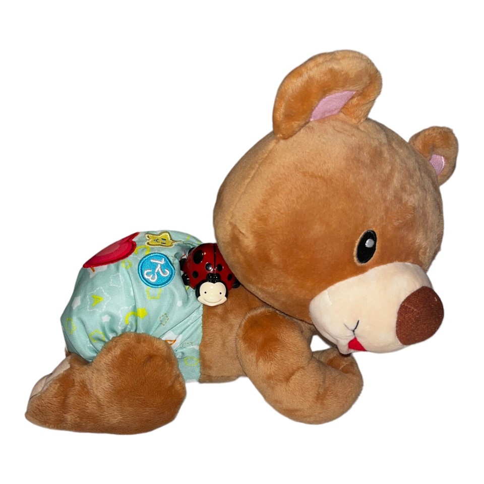 Vtech Explore and Crawl Learning Cub Bear Light up Ladybug Music Plush ...