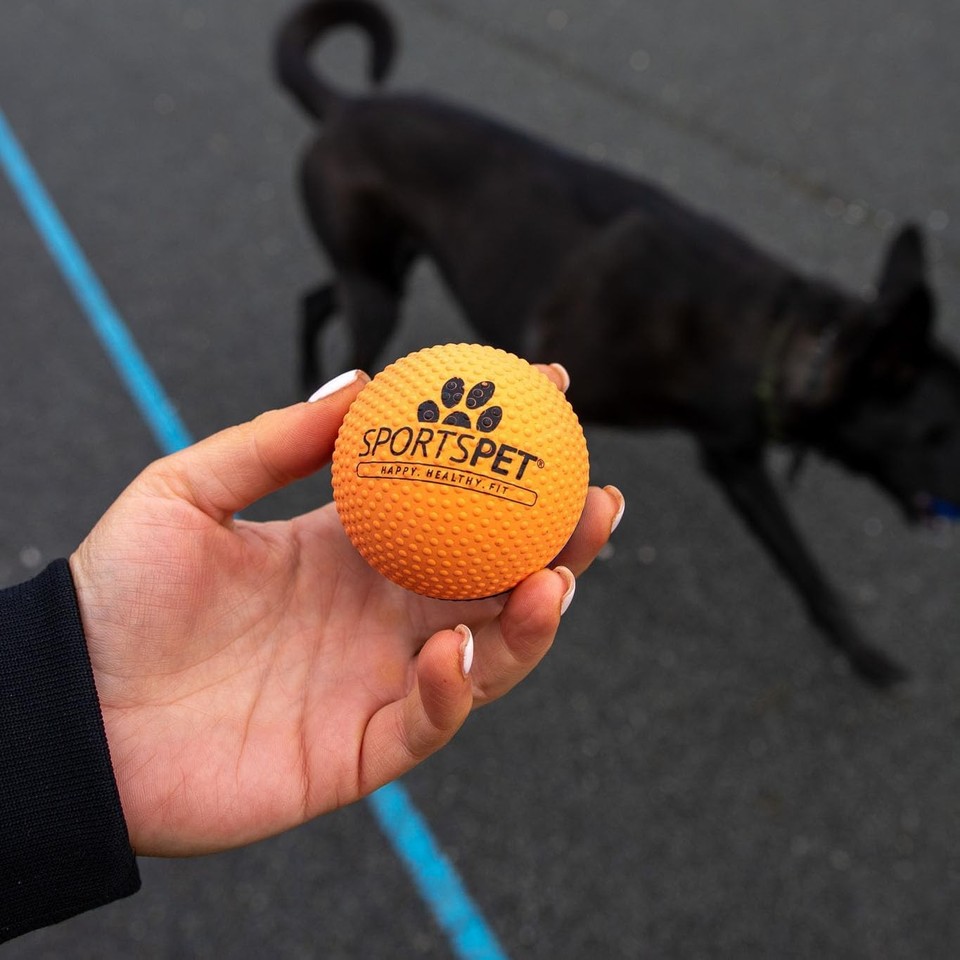 SPORTSPET High Bounce Natural Rubber Dog Balls (High Bounce Dimple 6 ...