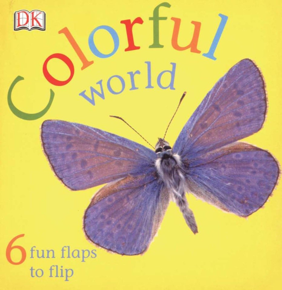 Colorful World (FUN FLAPS) - DK Publishing - Acceptable - See condition ...