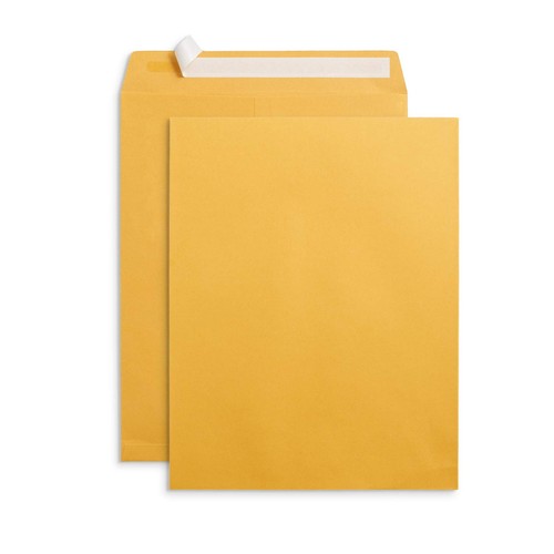 100 10” x 13” Catalog Envelopes, Self Seal, For Mailing Catalogs ...