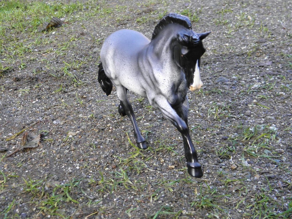 Breyer Custom Fjord Pony Black Roan Horse Statue OOAK | eBay