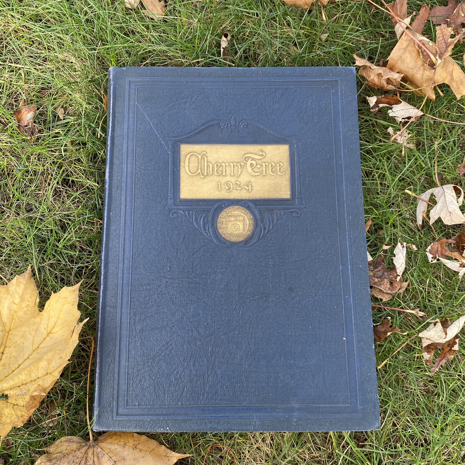 Vintage 1924 1920s The Cherry Tree Yearbook George Washington ...