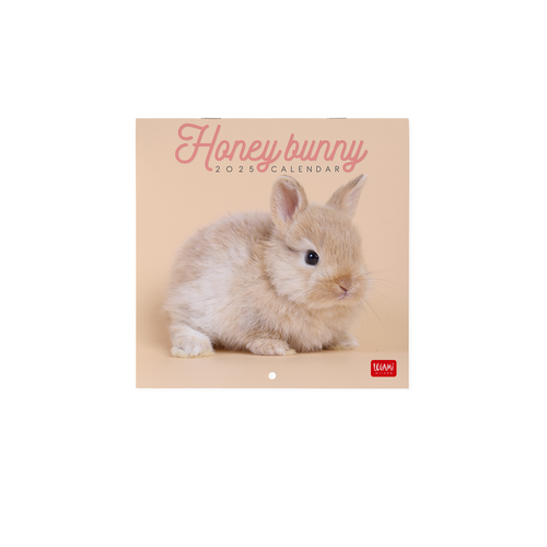 Calendar Wall 18x18 Photographic 2025 Honey Bunny Legami | eBay