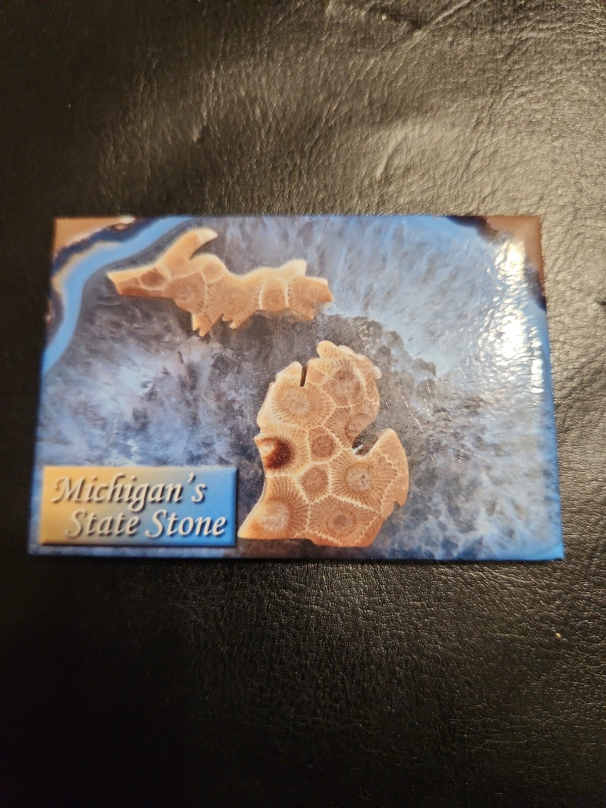 Michigan State Stone Magnet | eBay