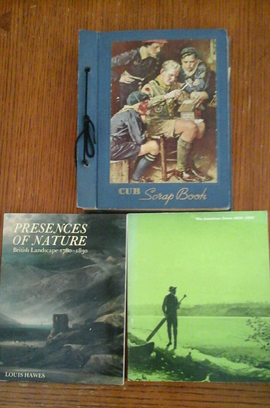 1941 CUB Scout WW 2 Scrapbook Louis Hawes Rochester Indiana Univ Art ...